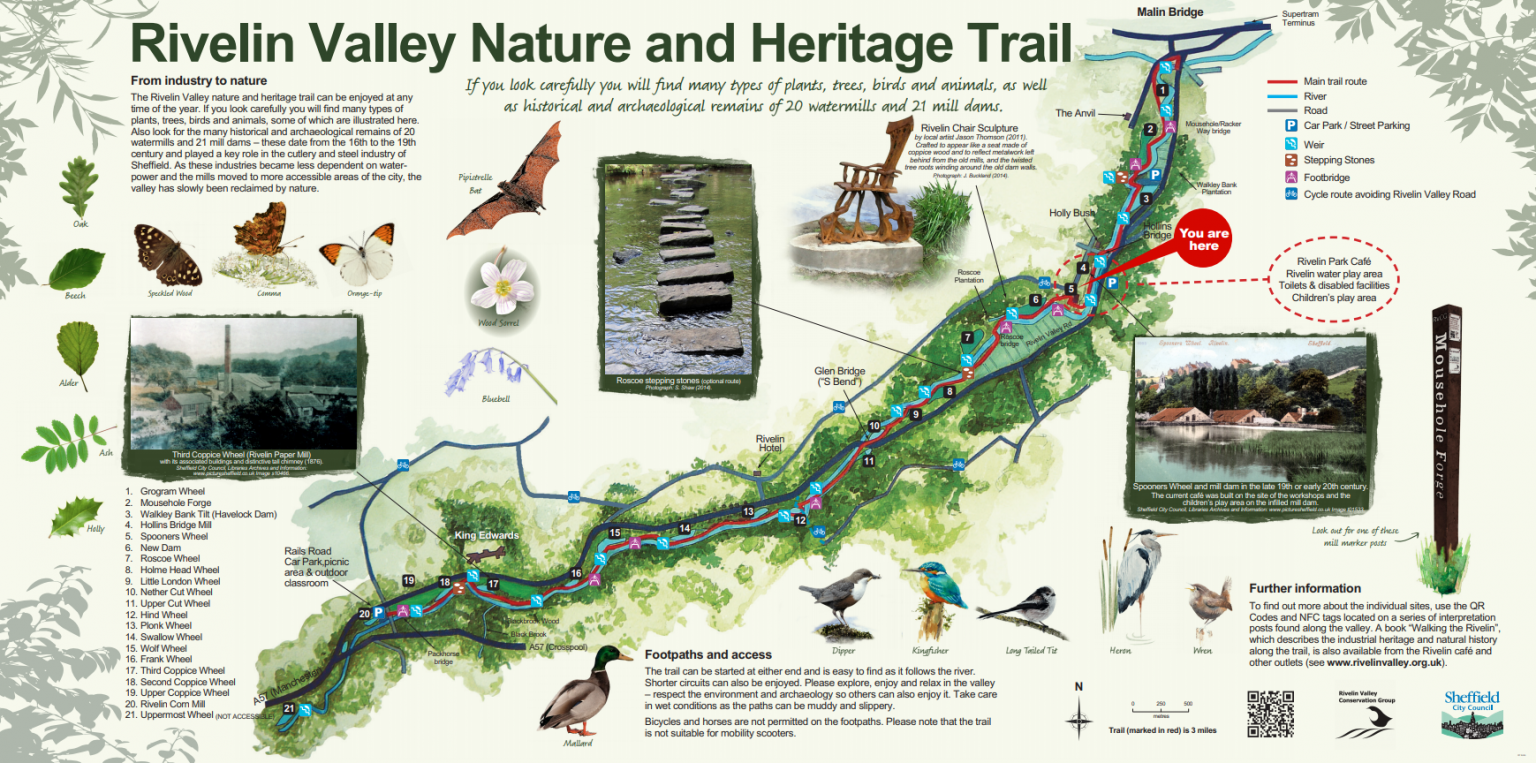 Explore Rivelin – RVCG