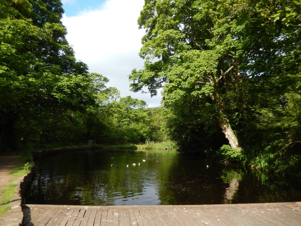 Rivelin Corn Mill – RVCG