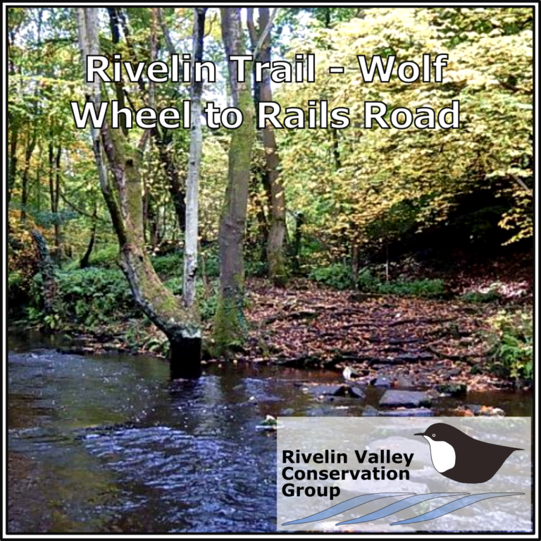 Explore Rivelin – RVCG